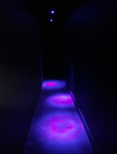Seven Cruising Bar